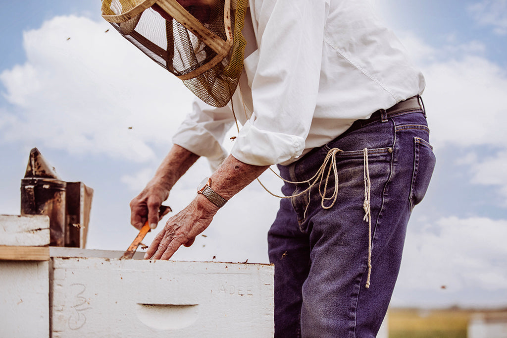 Beekeeping Through the Seasons – Adee Honey Farms