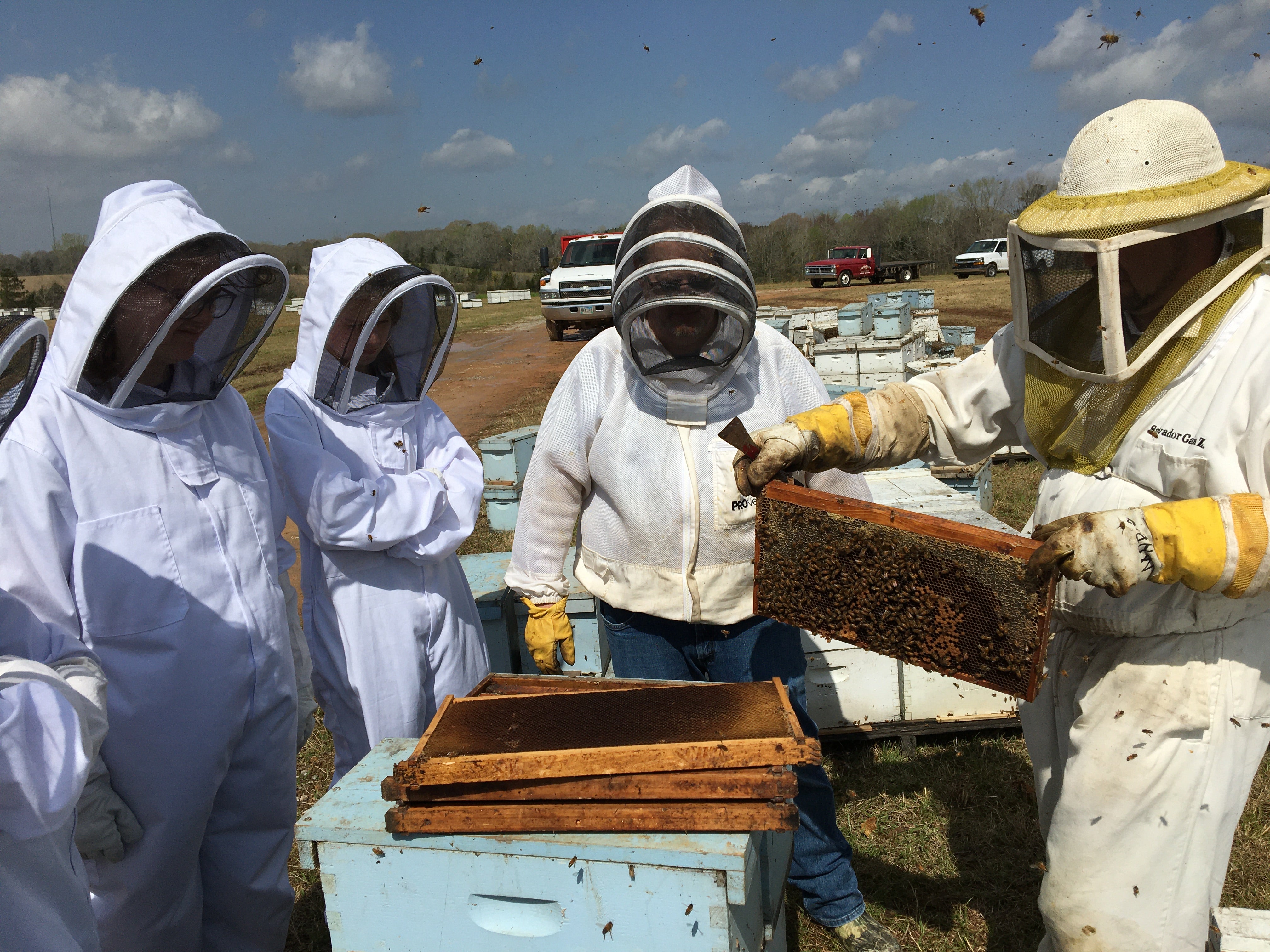 EDMUNDS CENTRAL LEARN ABOUT NEW BEE COLONY FORMATION IN MISSISSIPPI ...